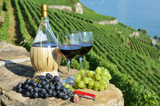 Mancini Winery | Marche Italy – Tagged "Mancini" – Wines From Italy