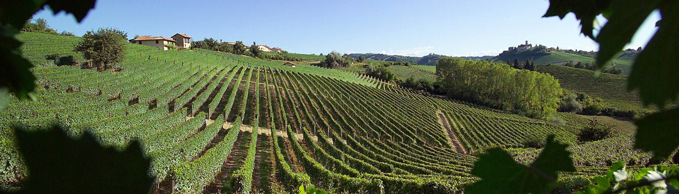 Ascheri Winery in Piemonte Italy - Wines From Italy – Tagged "Wine in a ...