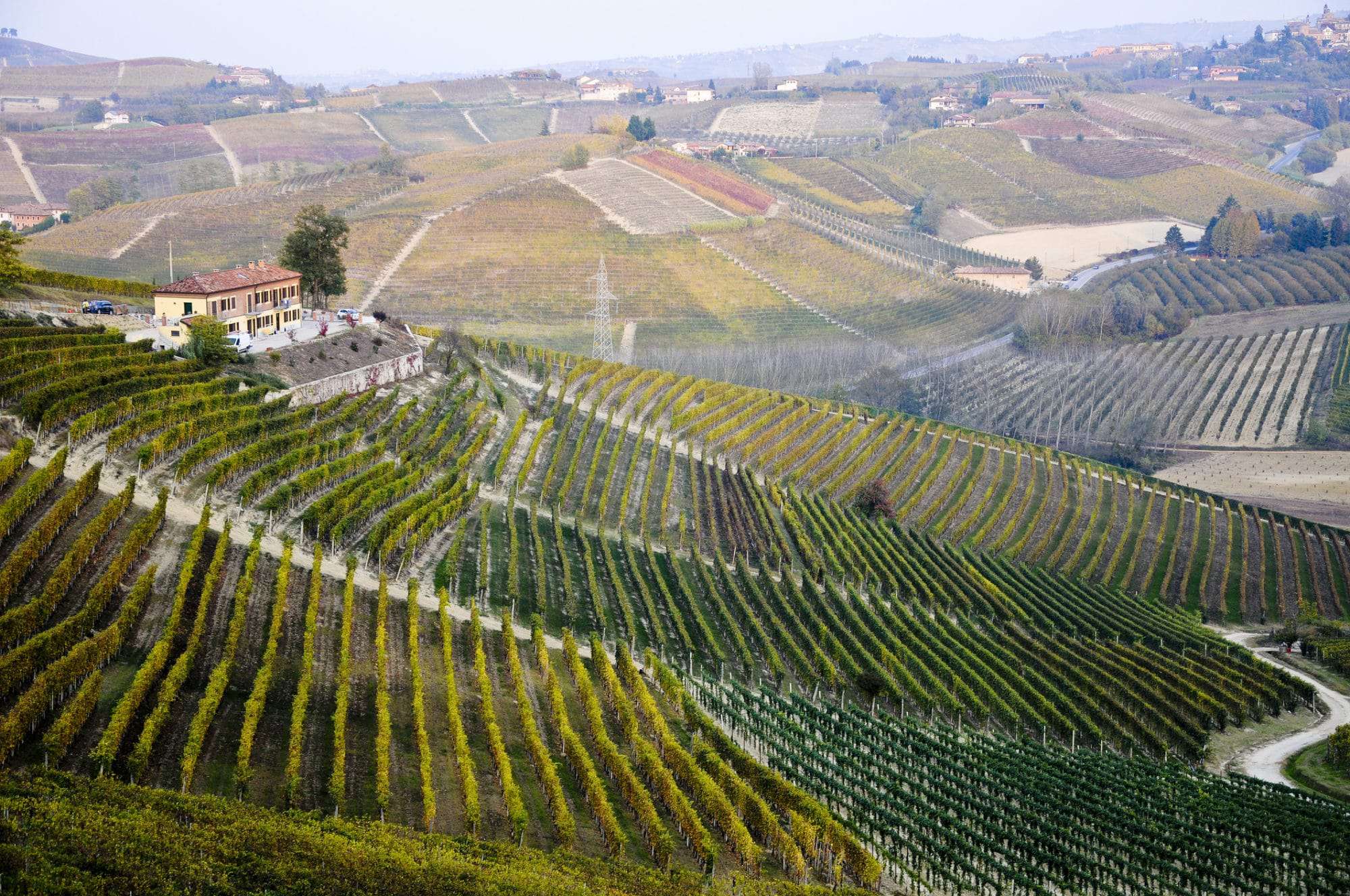 Barbaresco Wines | Piemonte Italy – Tagged "Close Outs ...